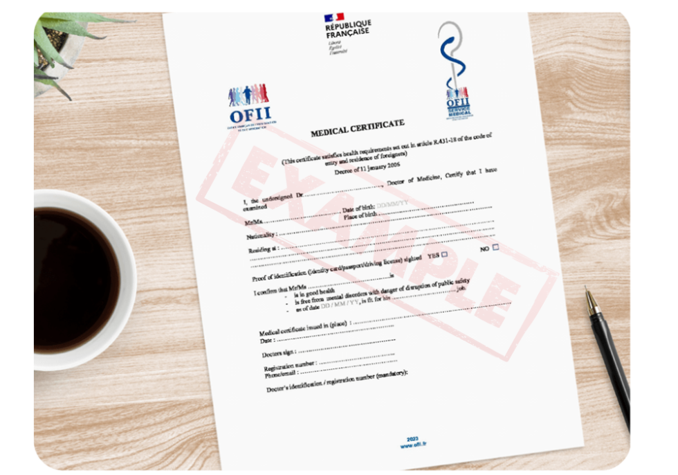 Medical Certificate France - Fitness to Work - ZoomDoc